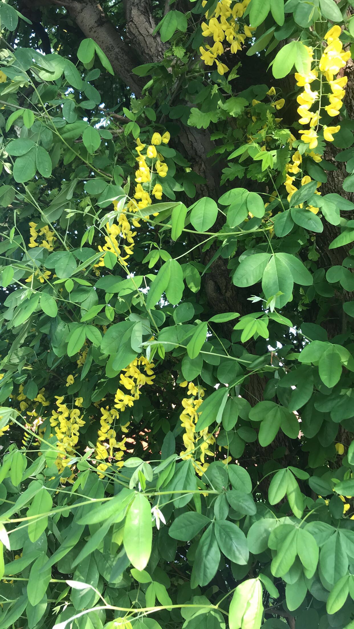 FAQ – Kathryn Fox at Fox Therapy